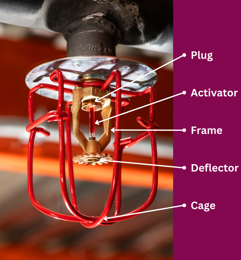 How Do Fire Sprinklers Work: Each Part Explained - RCS